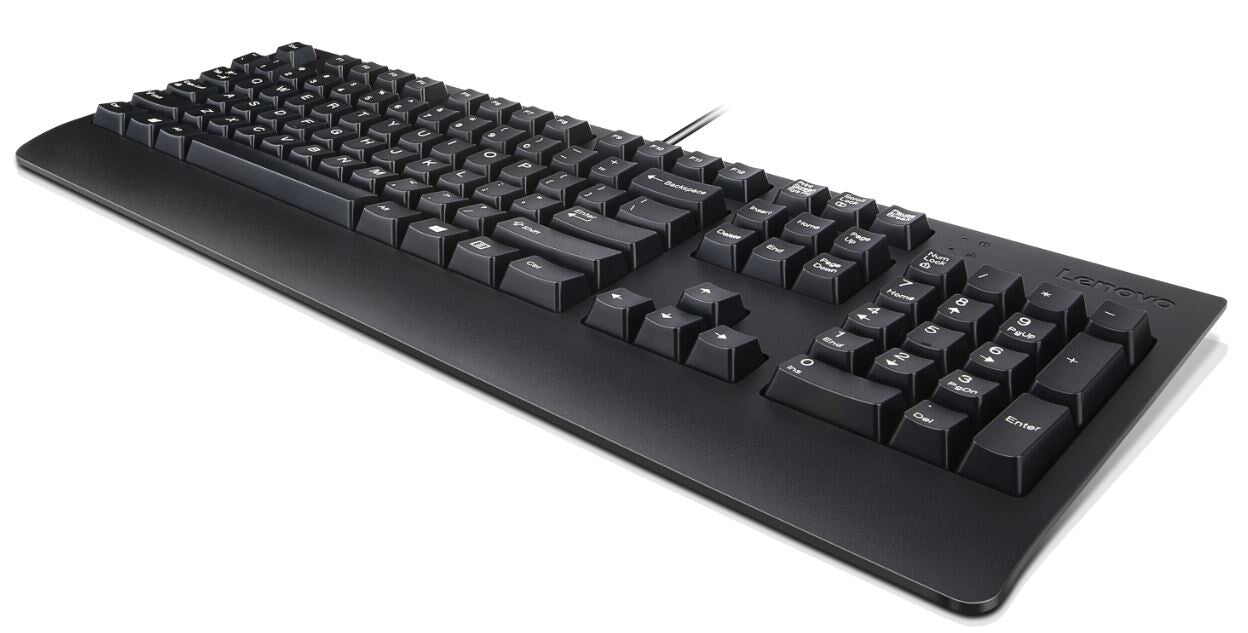 Lenovo Preferred Pro II keyboard Universal USB QWERTY Polish Black ...